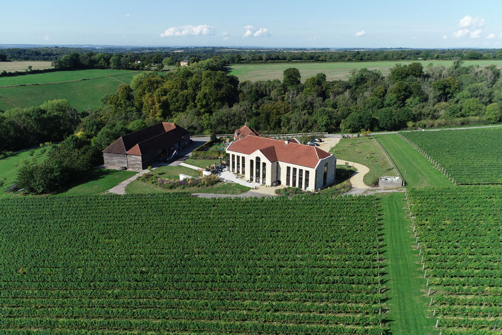 Vineyard Wine Tasting Hampshire & Nearby Areas - Wine Tours Hampshire