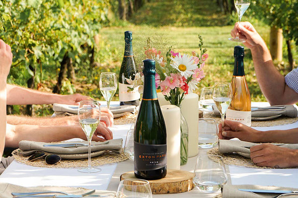Vineyard Wine Tasting Hampshire & Nearby Areas - Wine Tours Hampshire